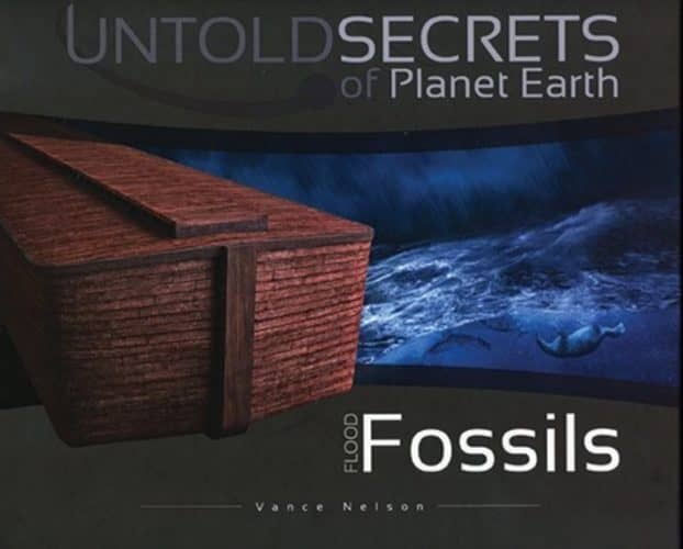 Flood Fossils - IgniteLit