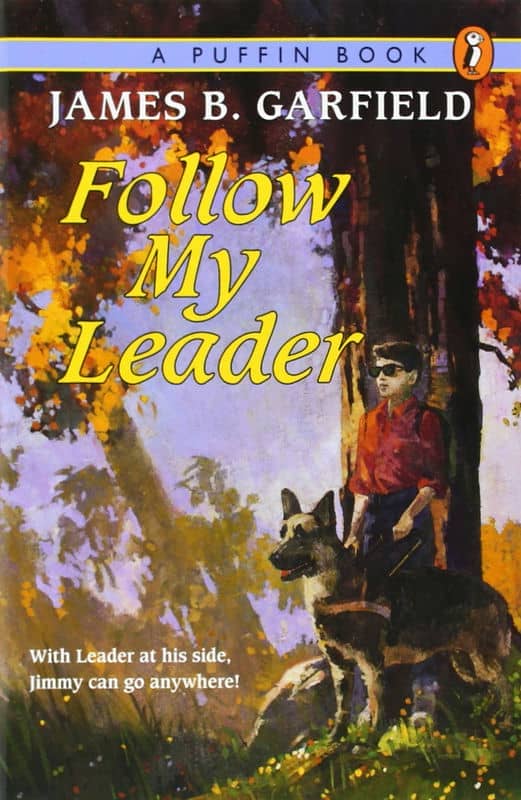 Follow My Leader - IgniteLit