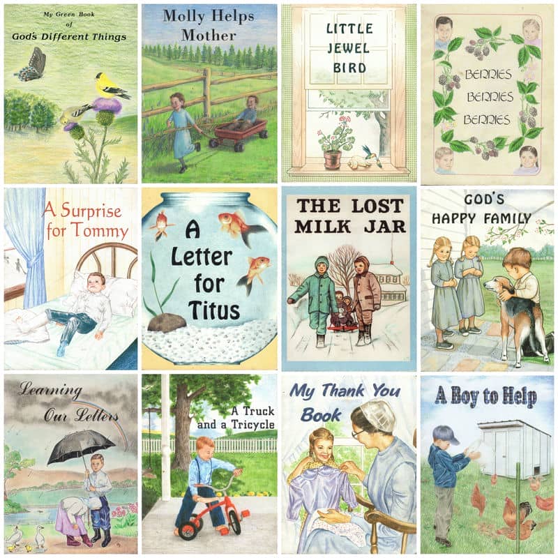 Little Jewel Books series - IgniteLit